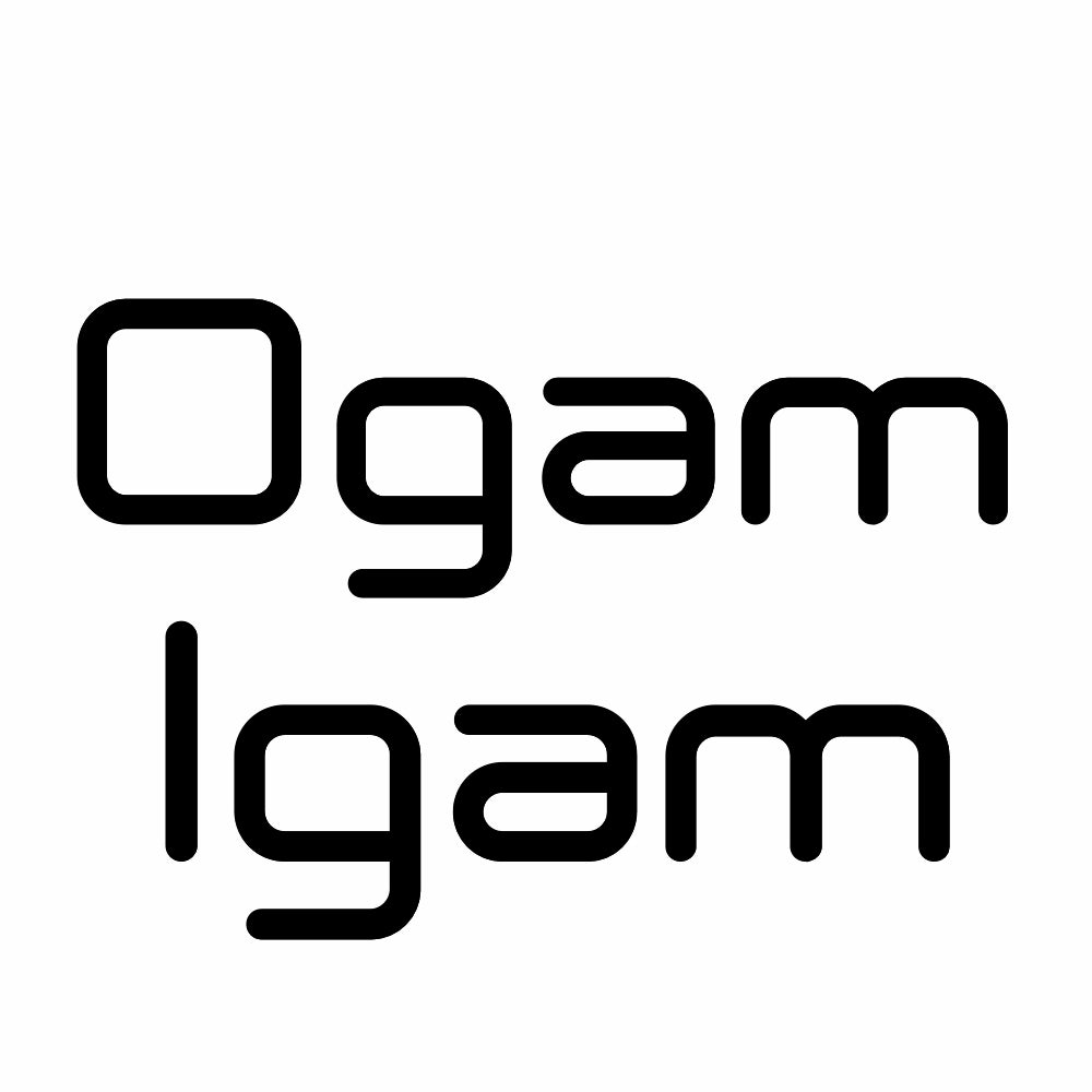 Boy's Wellies | Ogam Igam